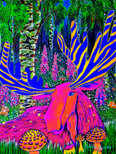 Aurora Puzzles Capturing the beauty and artistry of Alaska Artists